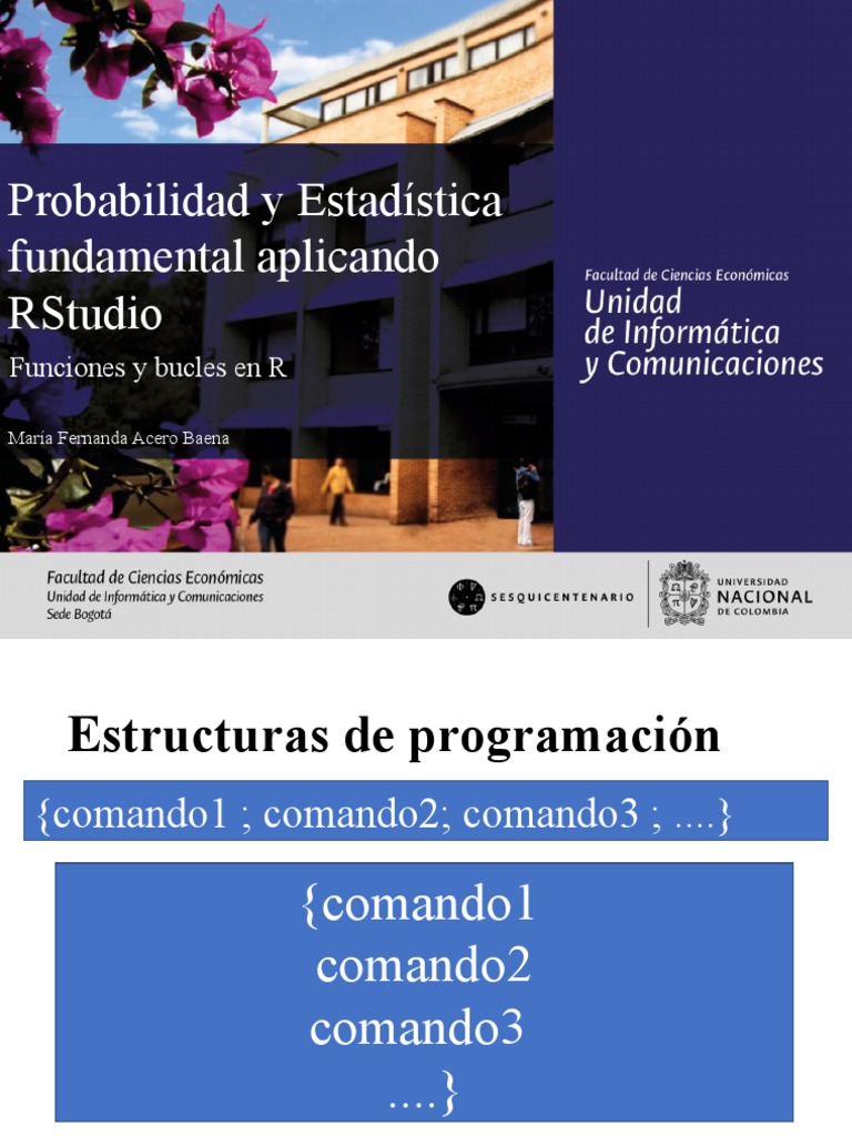 3 Funciones y Bucles en R | PDF | Función (Matemáticas) | Matemáticas