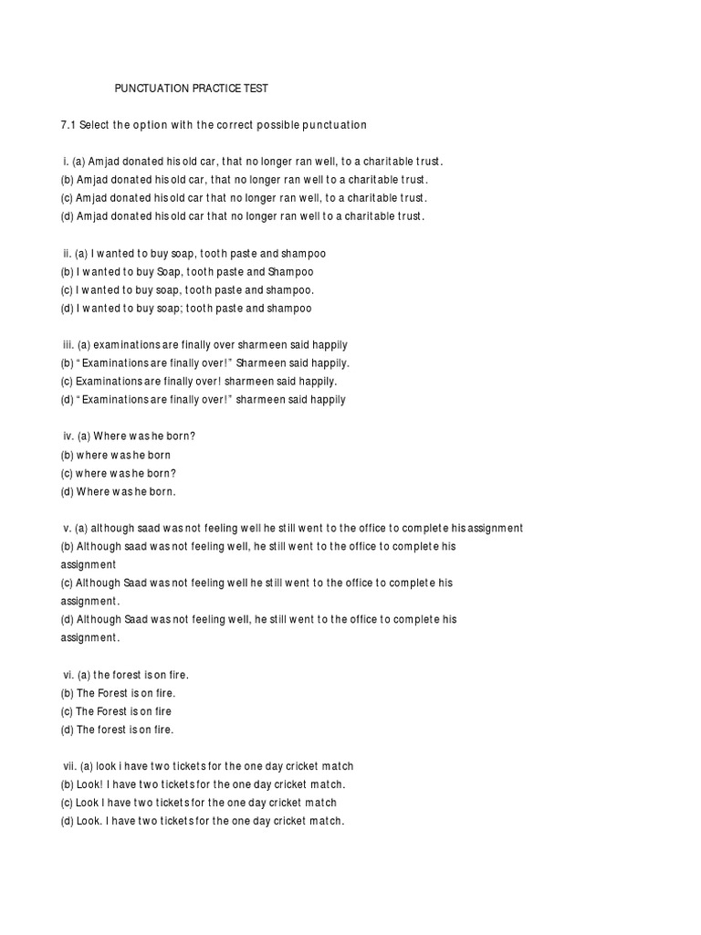 Punctuation Practice Test Guide | PDF