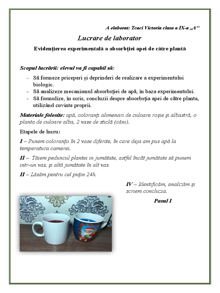A Elaborat | PDF