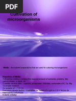 Standard Precautions - Appendix A - Isolation Precautions - Guidelines ...