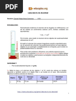 05.experimento ¿Flota o Se Hunde? | PDF | Peso | Masa