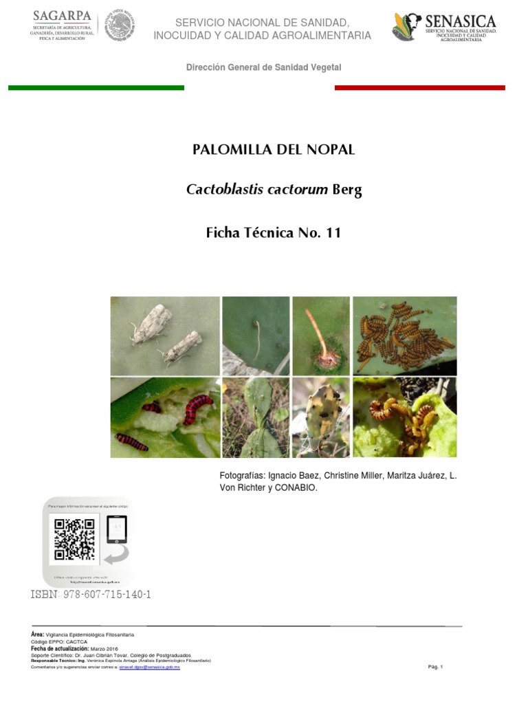 Guía técnica sobre la plaga Cactoblastis cactorum (palomilla del nopal ...