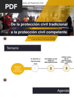 Integración Del Comité Interno de Protección Civil CAPACITACION | PDF | Defensa Civil | Riesgo