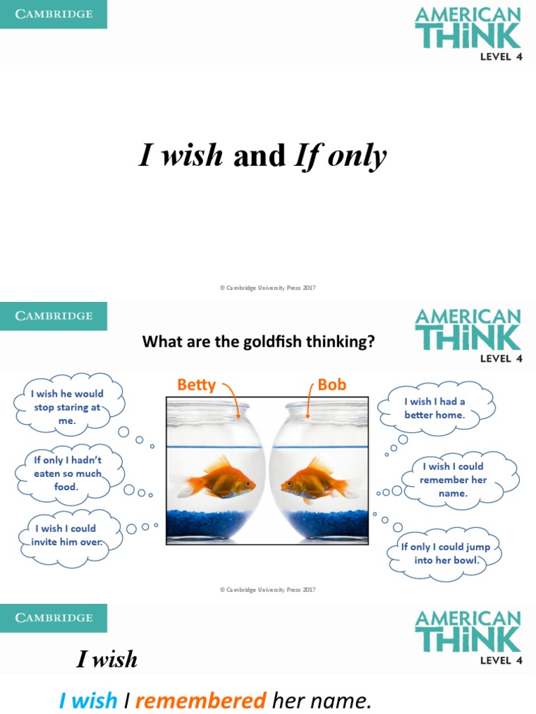 I Wish and If Only: © Cambridge University Press 2017 | PDF