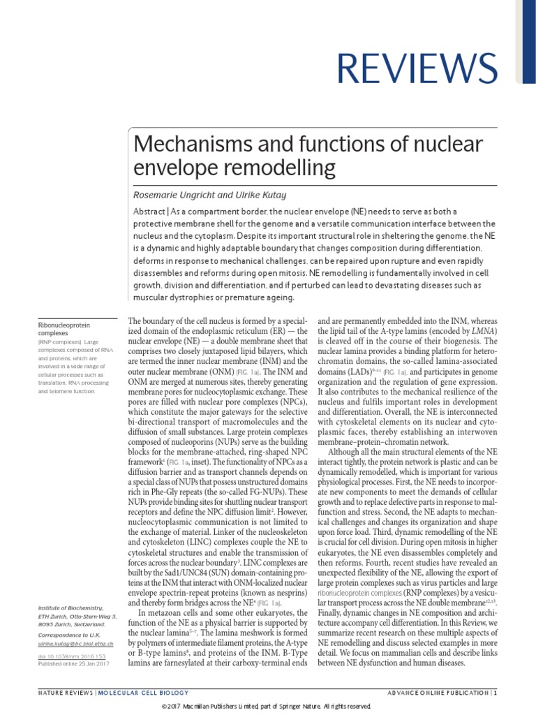 Mechanisms and Fuctions of Nuclear Evelope Remodelling | PDF | Cell ...
