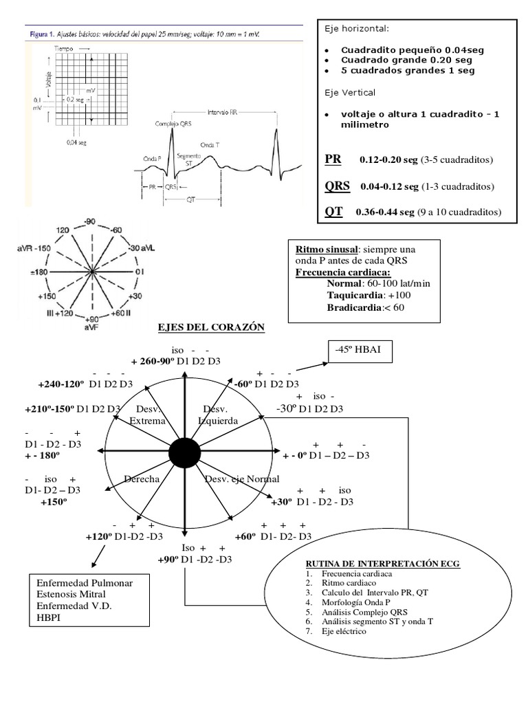 Ecg Normal Esquema | PDF | Electrocardiografia | Medicina CLINICA