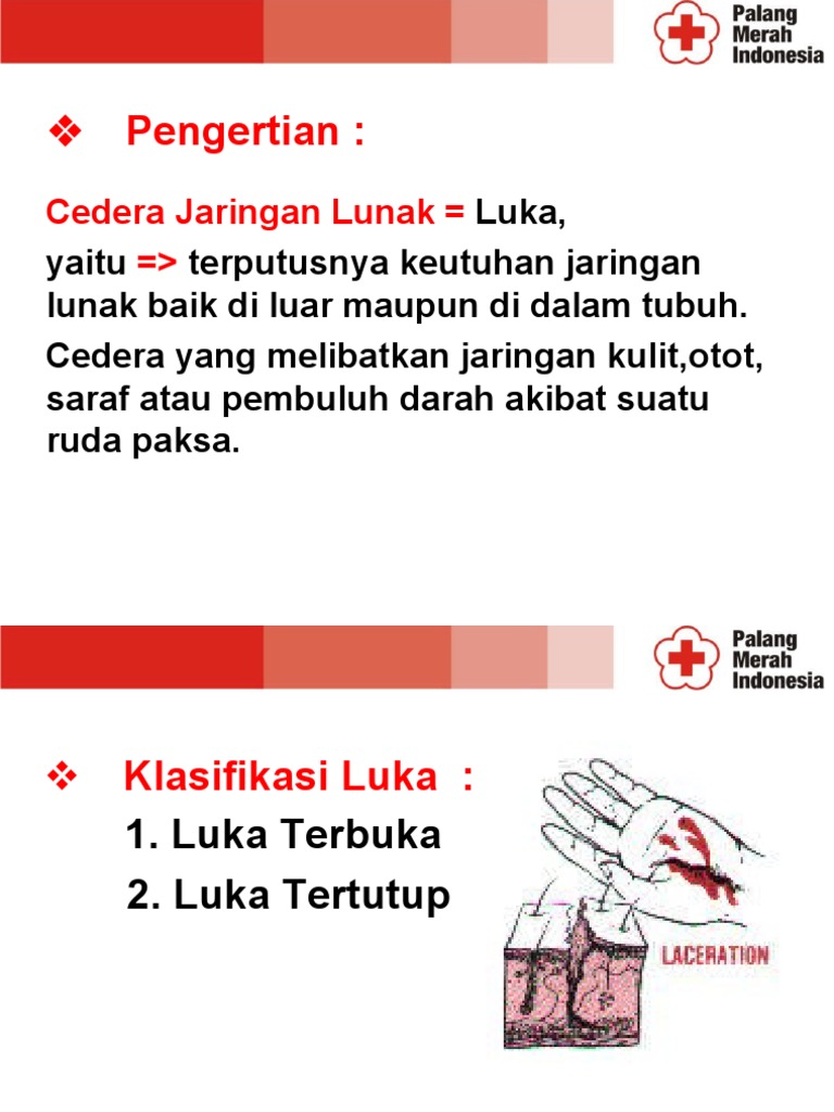 06 Cedera Jaringan Lunak | PDF
