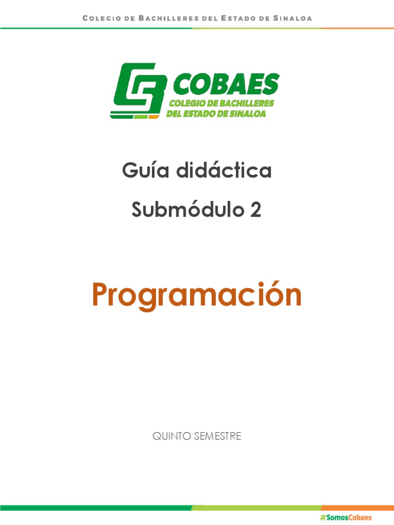Guia de Programación | PDF | Lenguaje de programación | Programación de ...