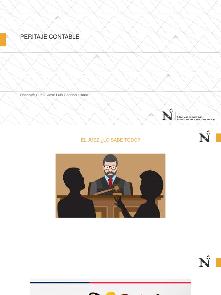 Peritaje Contable | PDF | Testigo experto | Contador