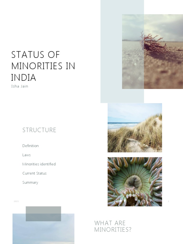 Status of Minorities in India | PDF | Minority Group | Supernatural
