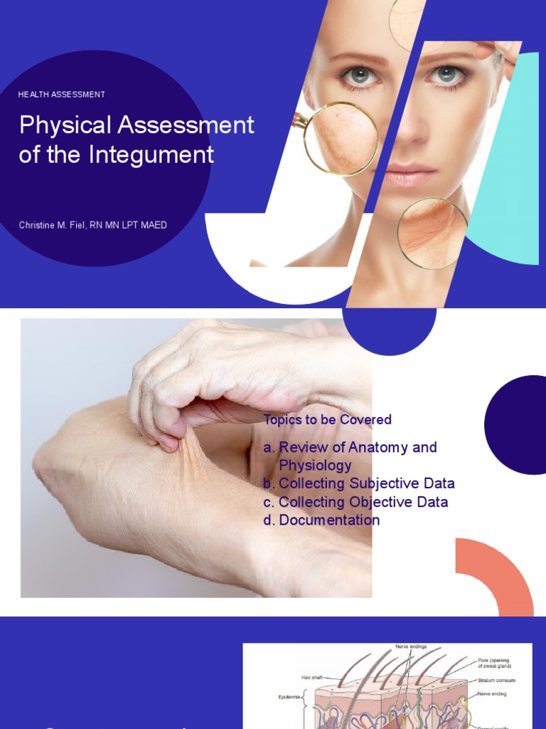 Physical Assessment of The Integument | PDF | Integumentary System ...