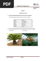 30 Vegetales Con Sus Cromosomas | PDF