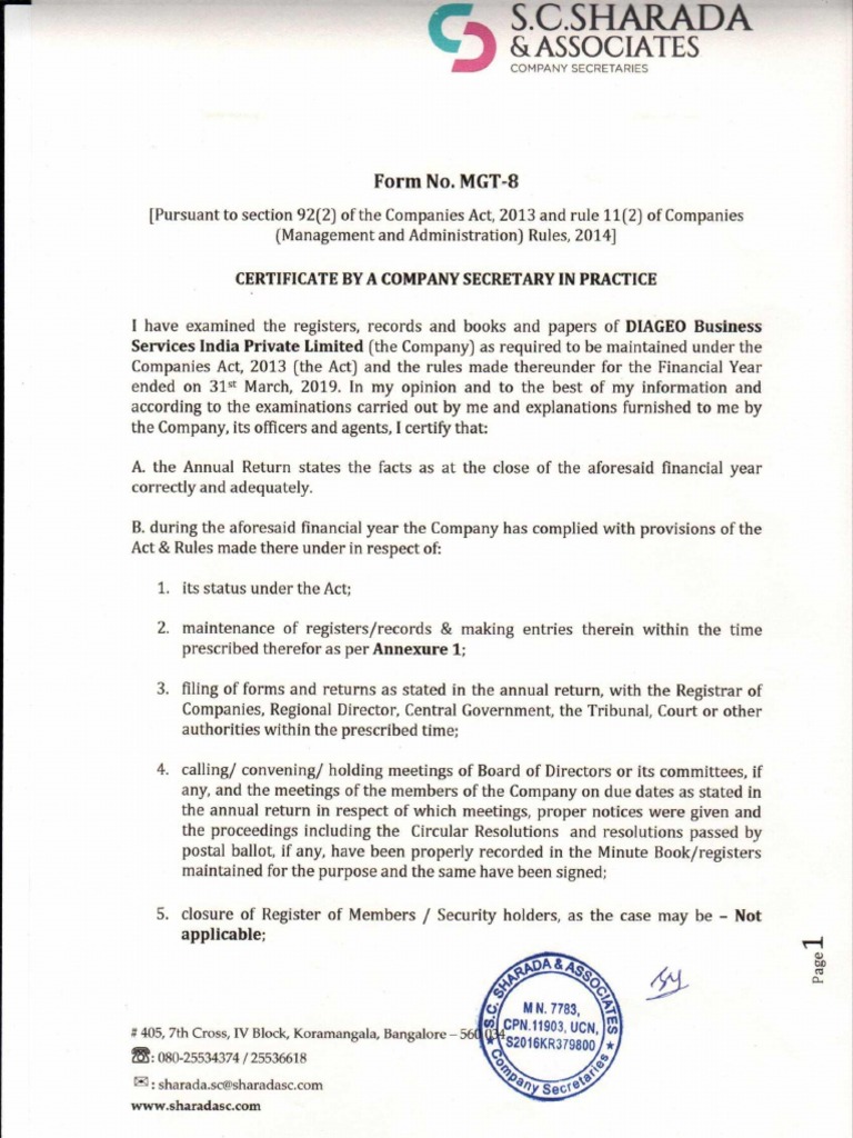 Form MGT-8 - DBSI - 2018-19 | PDF