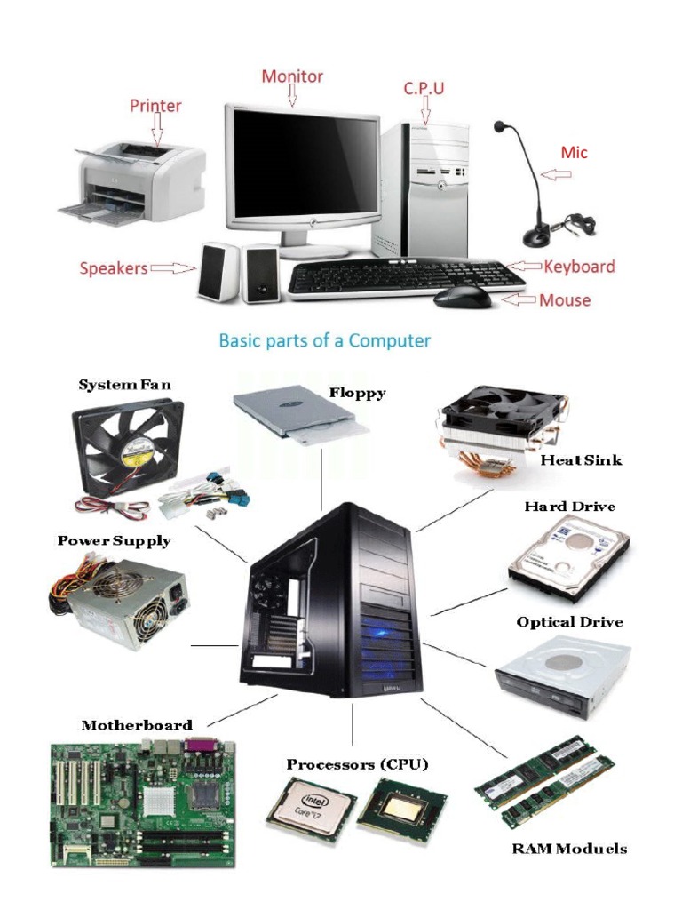 Computer Lab Ms Word Notes 2021 | PDF | Computer File | Microsoft Word