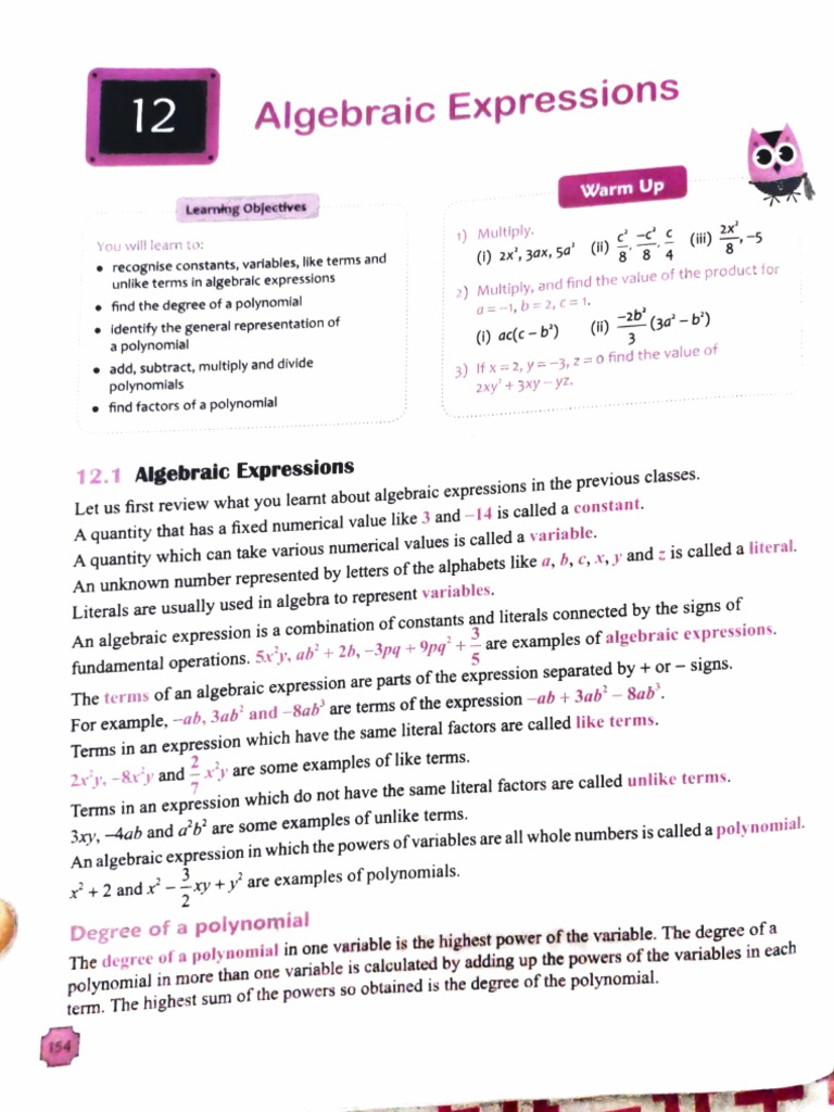 Class 8 Algebraic Expressions Guide | PDF | Factorization | Division ...