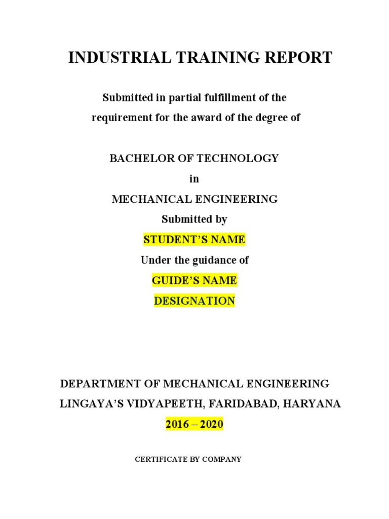 Internship Report Format Lingayas Vidyapeeth | PDF