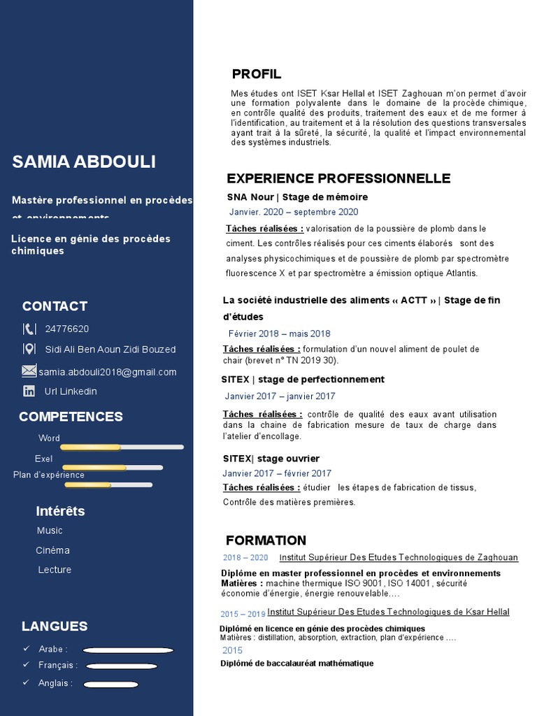 SAMIA CV Sidi Ali | PDF | Affaires | Art
