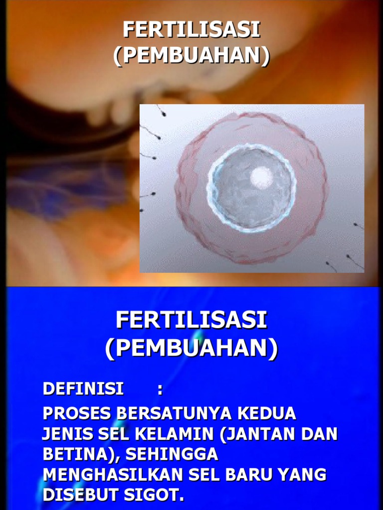 05 Fertilisasi | PDF | Sains & Matematika