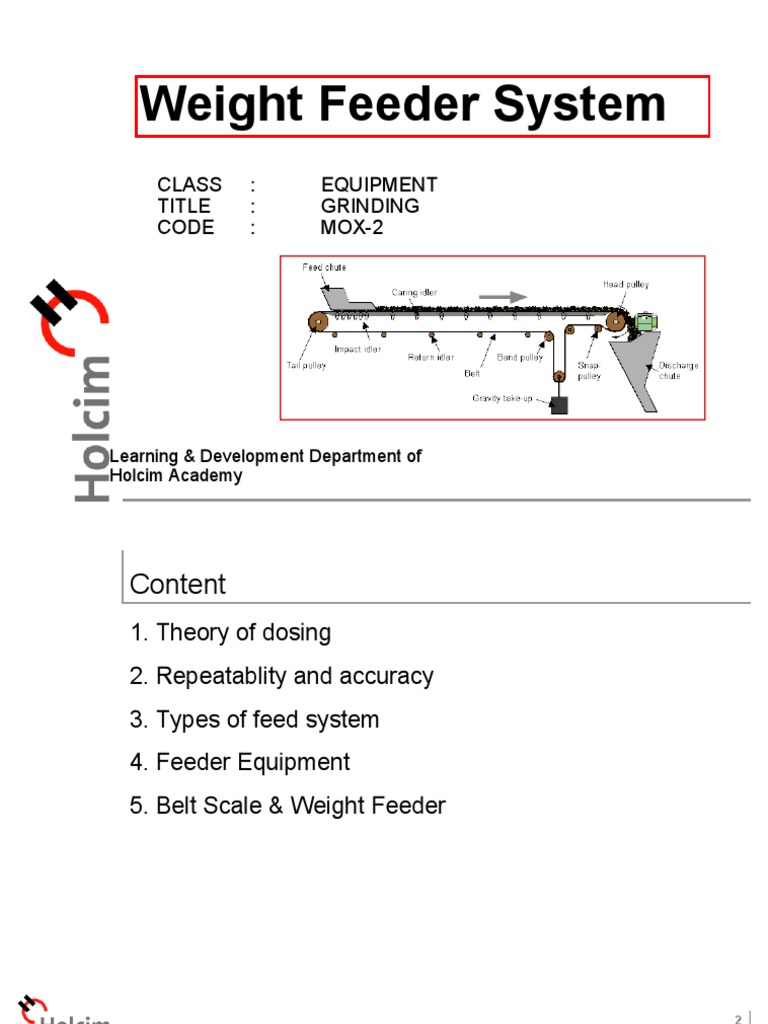 Weigh Feeder System Overview | PDF | Belt (Mechanical) | Flow Measurement