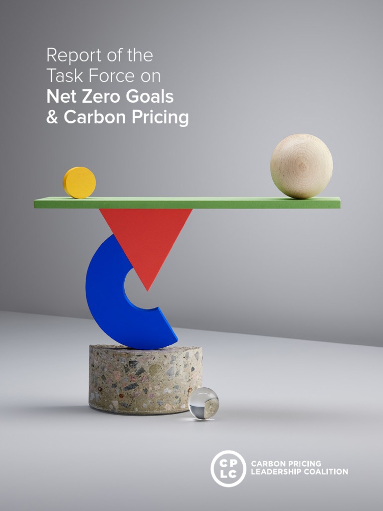 CPLC+ NetZero Report | PDF | Climate Change | Climate Change Mitigation