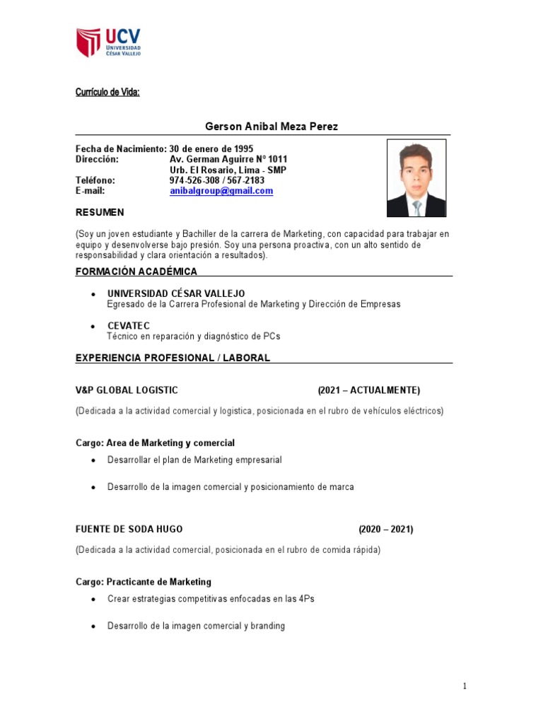 CV Gerson Meza | PDF | Marketing | Procesos de negocio