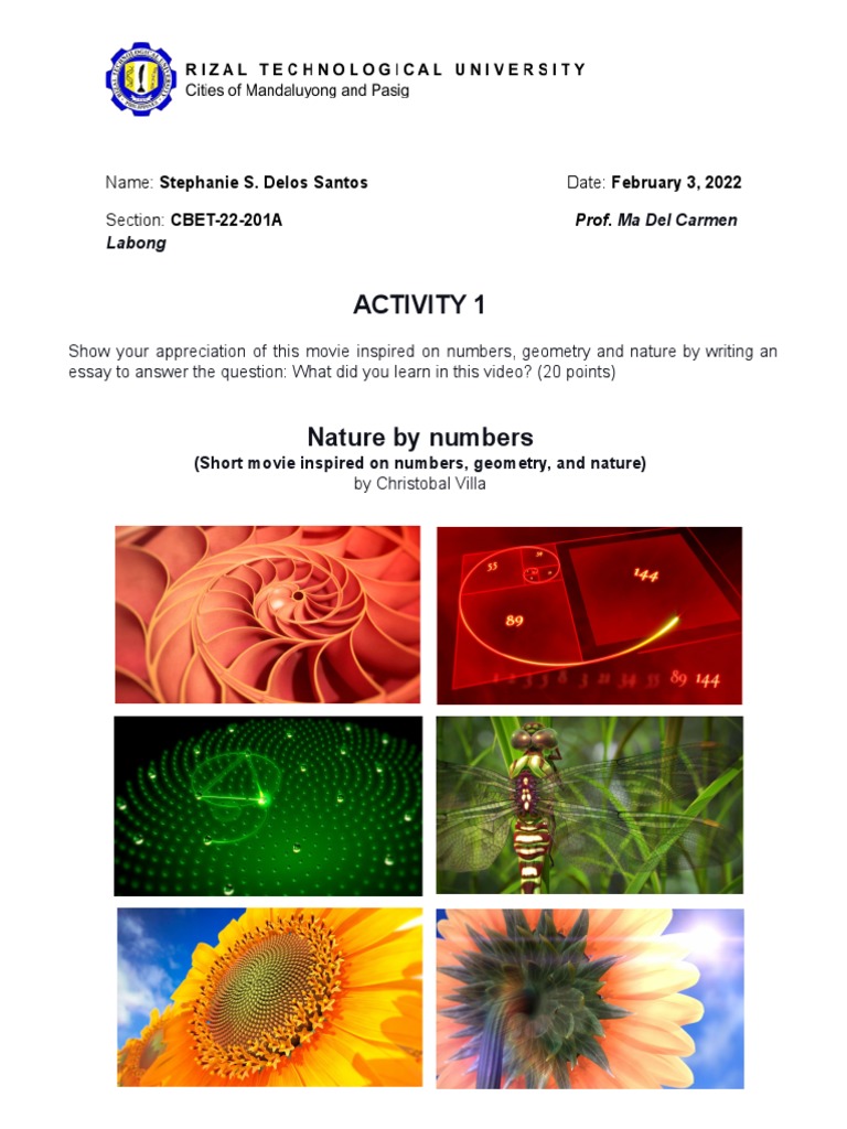 Activity 1, Nature by Numbers, Delos Santos, Stephanie | PDF | Pattern ...