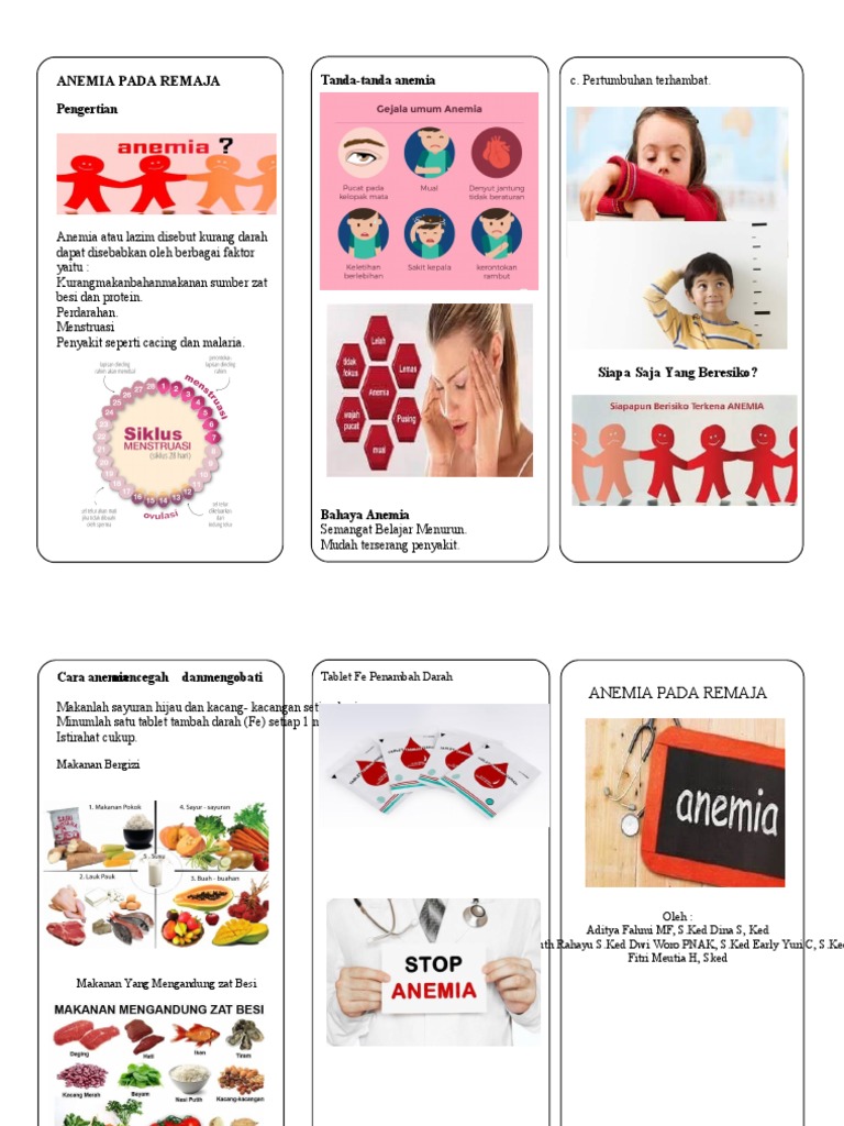 Leaflet Anemia Pada Remaja | PDF