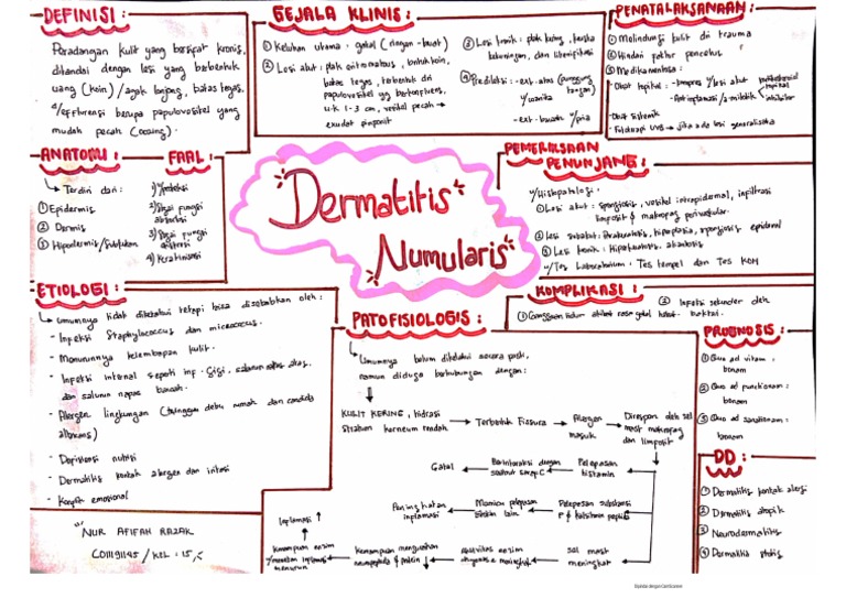 Dermatitis Numularis - Nur Afifah Razak - C011191145 | PDF