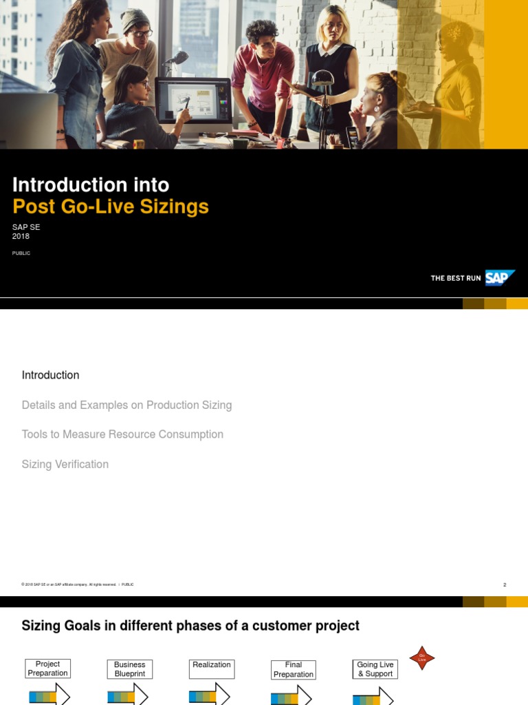 Introduction Into Post Go-Live Sizings | PDF | Central Processing Unit ...