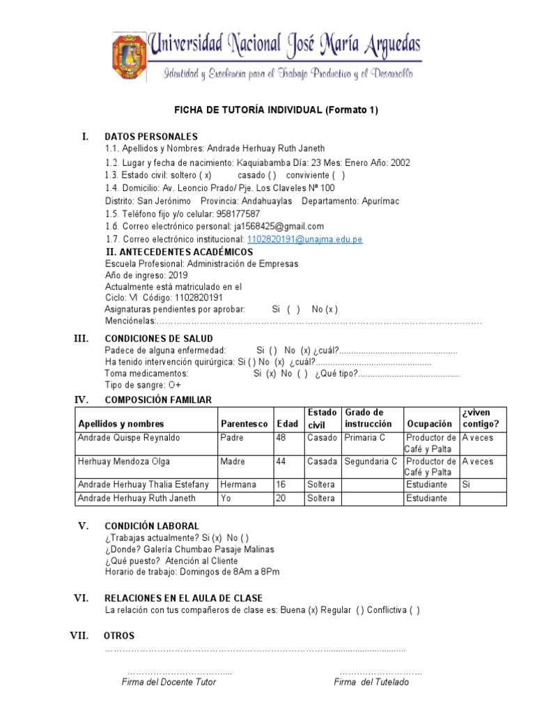 Formatos de Tutoria | PDF