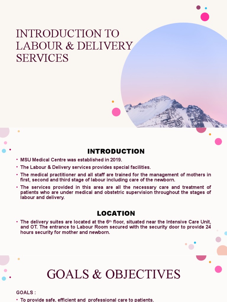 Labour & Delivery Services Overview | PDF | Childbirth | Obstetrics