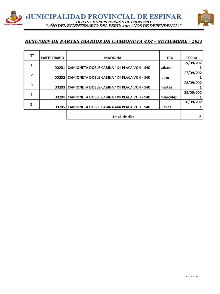 Cuadro de Resumen de Partes Diarios | PDF