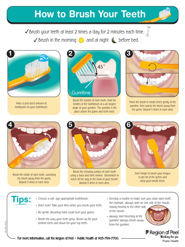 How To Floss Properly | PDF | Toothbrush | Medical Specialties