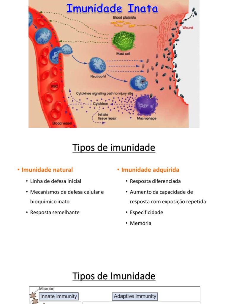 Aula de Imunidade Inata | PDF | Sistema imunológico | Citocina