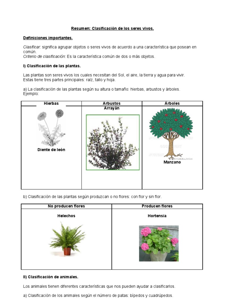 Resumen Cs Nat P2 | PDF | Plantas | Organismos