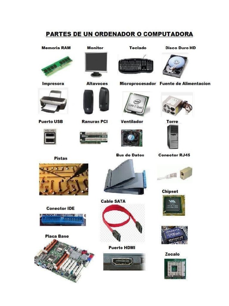 Partes Internas Del Cpu | PDF