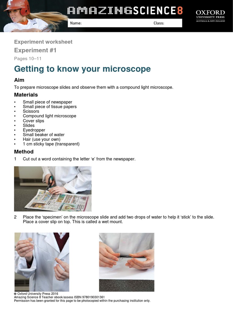 Getting To Know Your Microscope Lab | PDF