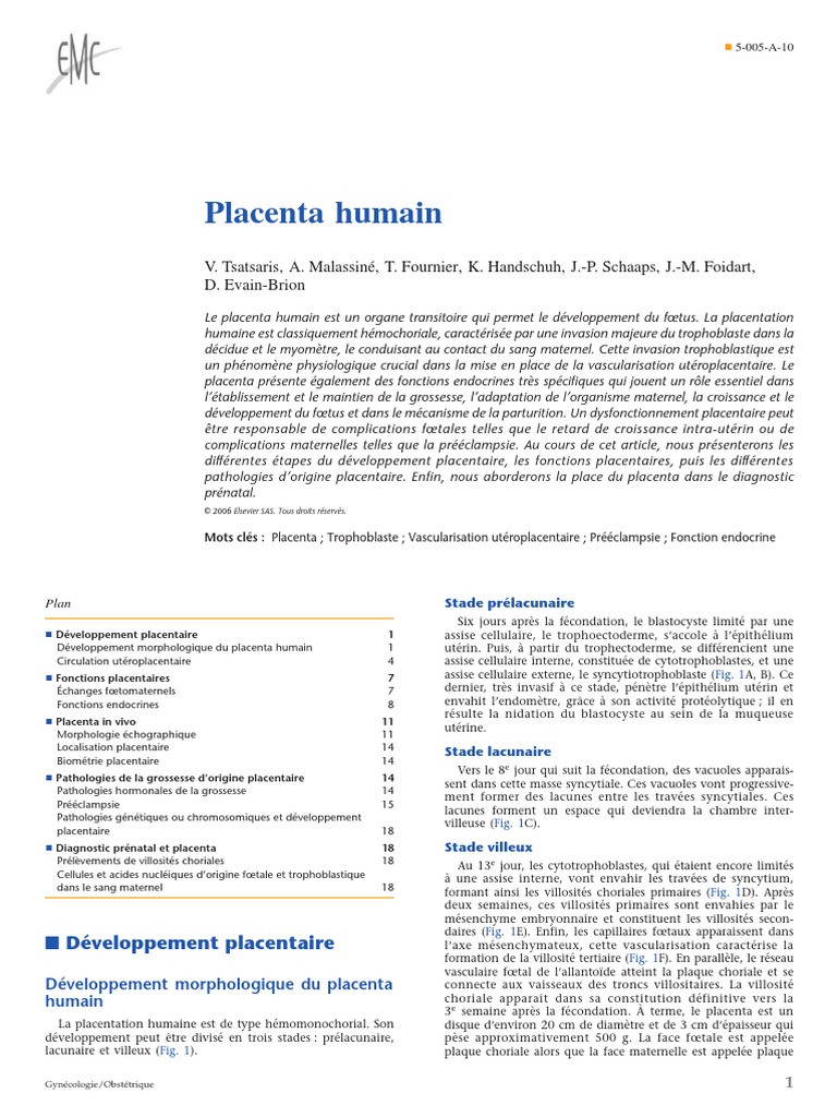 Placenta Humain | PDF | Placenta | Membrane cellulaire