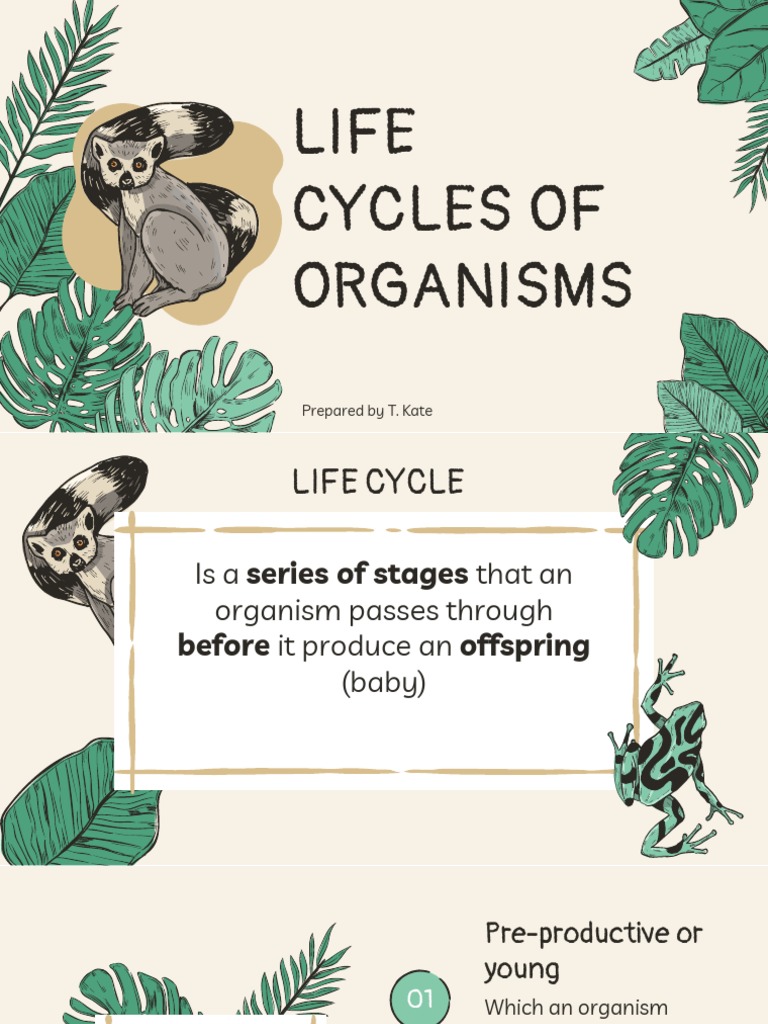 Life Cycles of Organisms and Food Chain | PDF | Zoology | Organisms