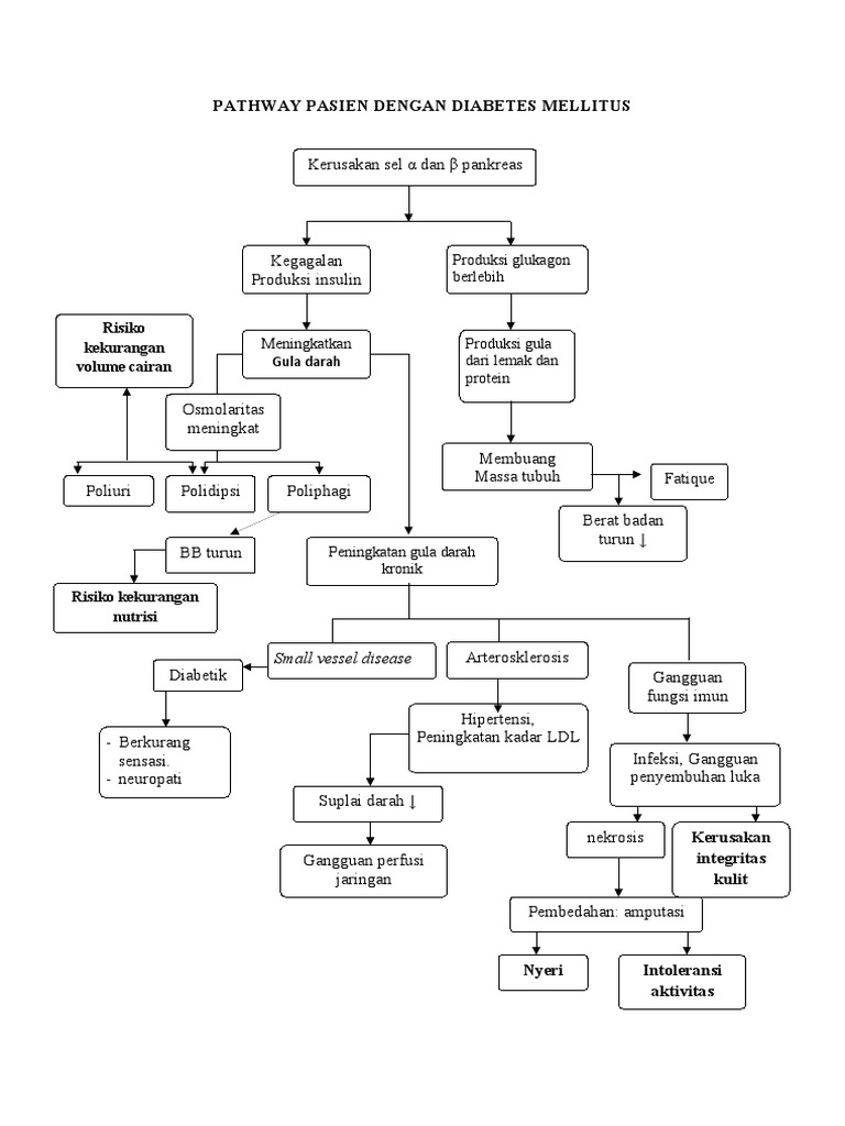 Pathway Pasien Diabetes Melitus | PDF