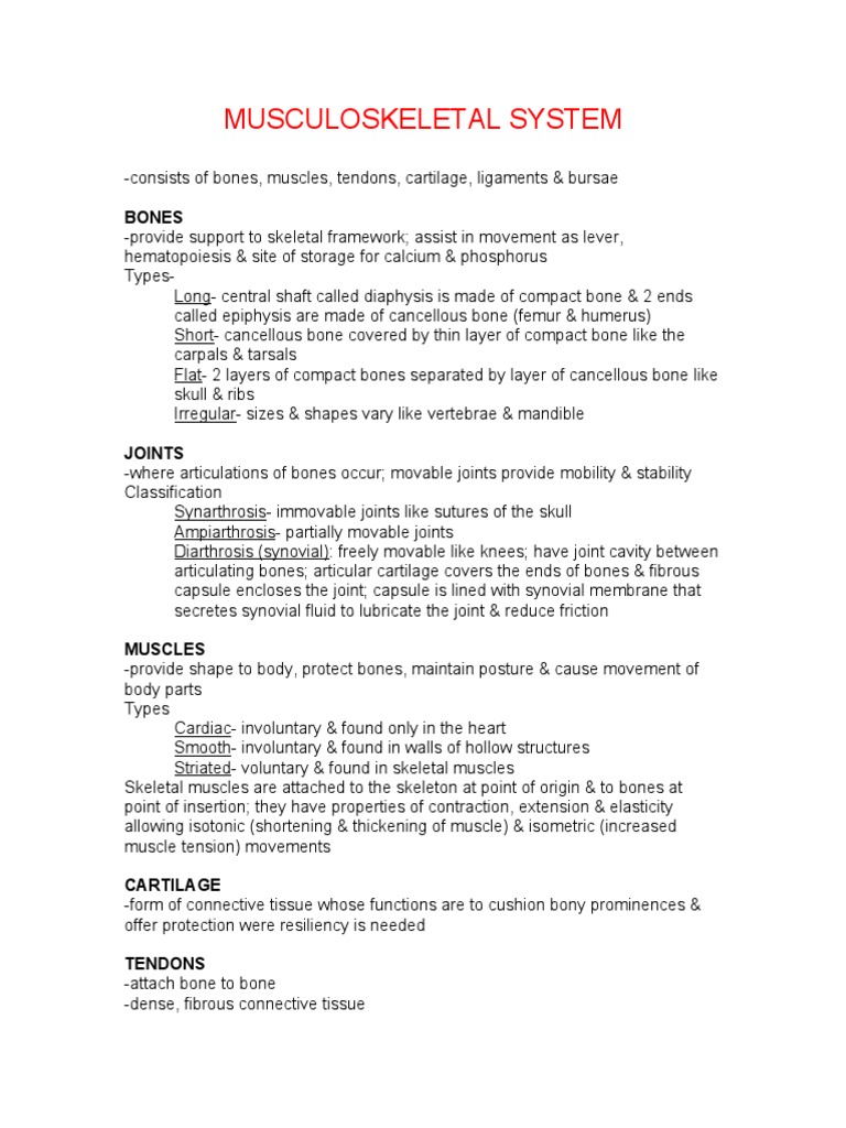 MS Musculoskeletal Review | PDF | Human Musculoskeletal System | Bone