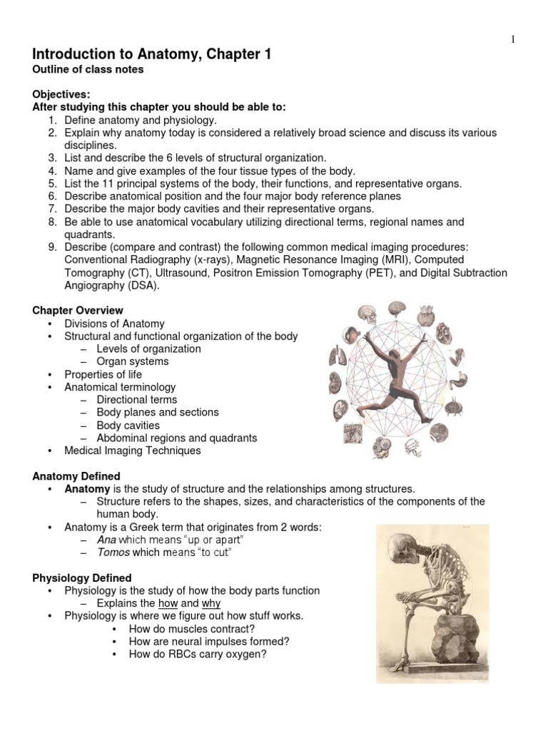 Anaphy - Body Cavities | PDF | Human Body | Anatomical Terms Of Location