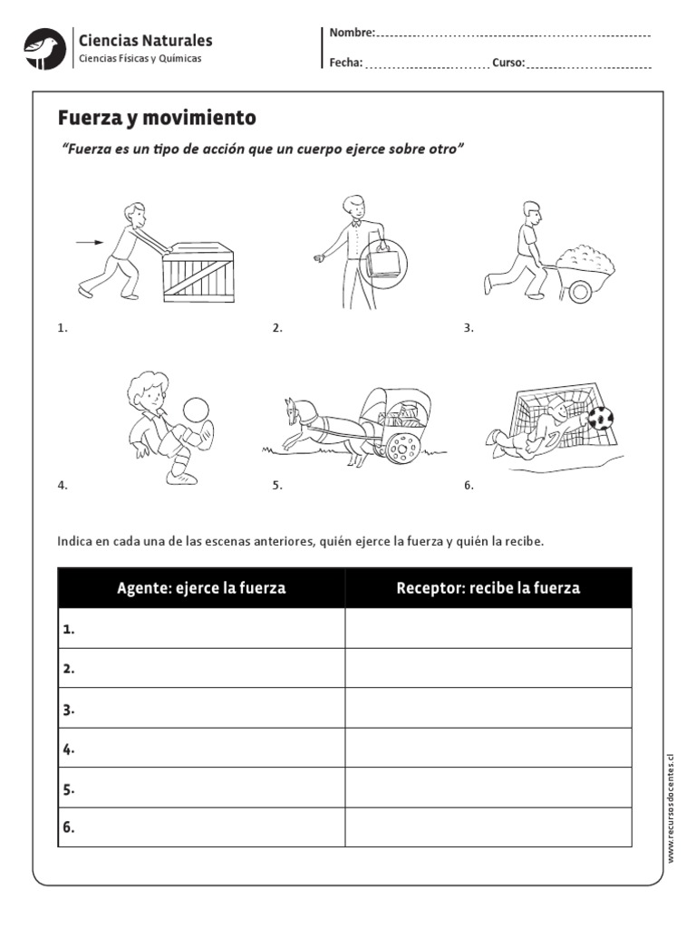 Hojas De Trabajo De Fuerza Y Forma