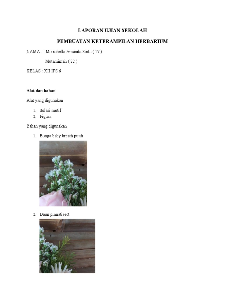 Laporan Pembuatan Herbarium | PDF | Griya & Taman | Kesehatan Holistik