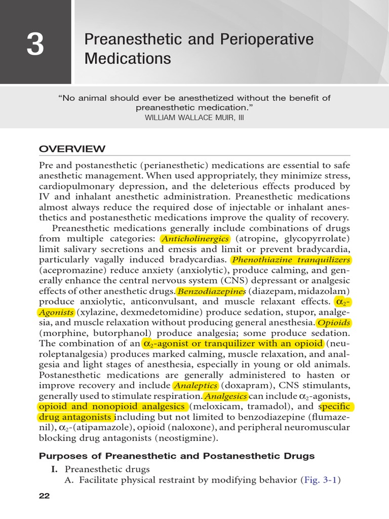 Preanesthetic and Perioperative Medications | PDF