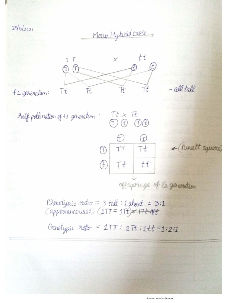 Monohybrid and Dihybrid Crosses | PDF