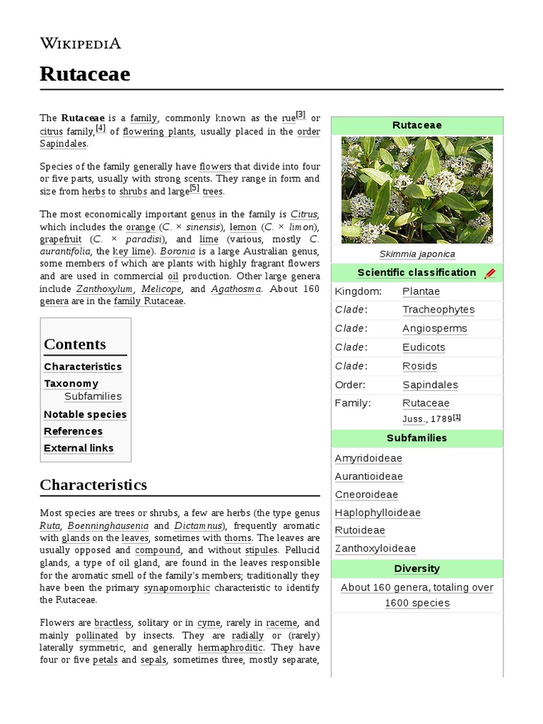 Rutaceae | PDF | Plants | Botany