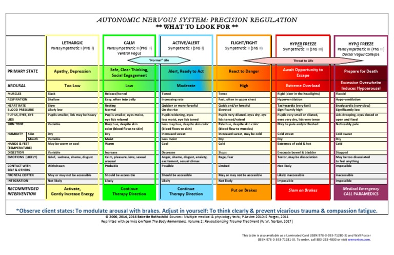 AUTONOMIC NERVOUS SYSTEM: PRECISION REGULATION WHAT TO LOOK FOR Babette ...