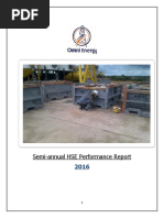 HSE Organization Chart | PDF