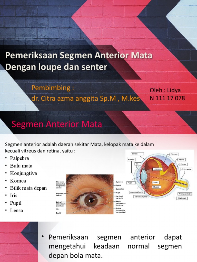 12208-Pemeriksaan Segmen Anterior Mata Dengan Loupe Dan Senter | PDF